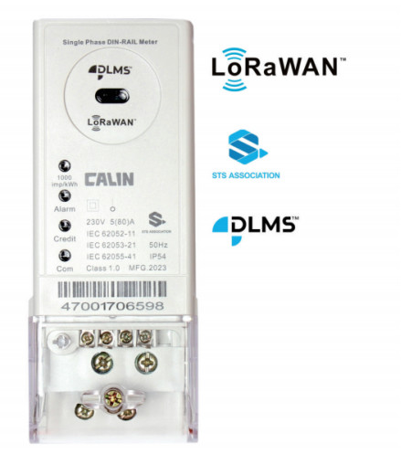 Why Choose LoRaWAN for Smart Meters?