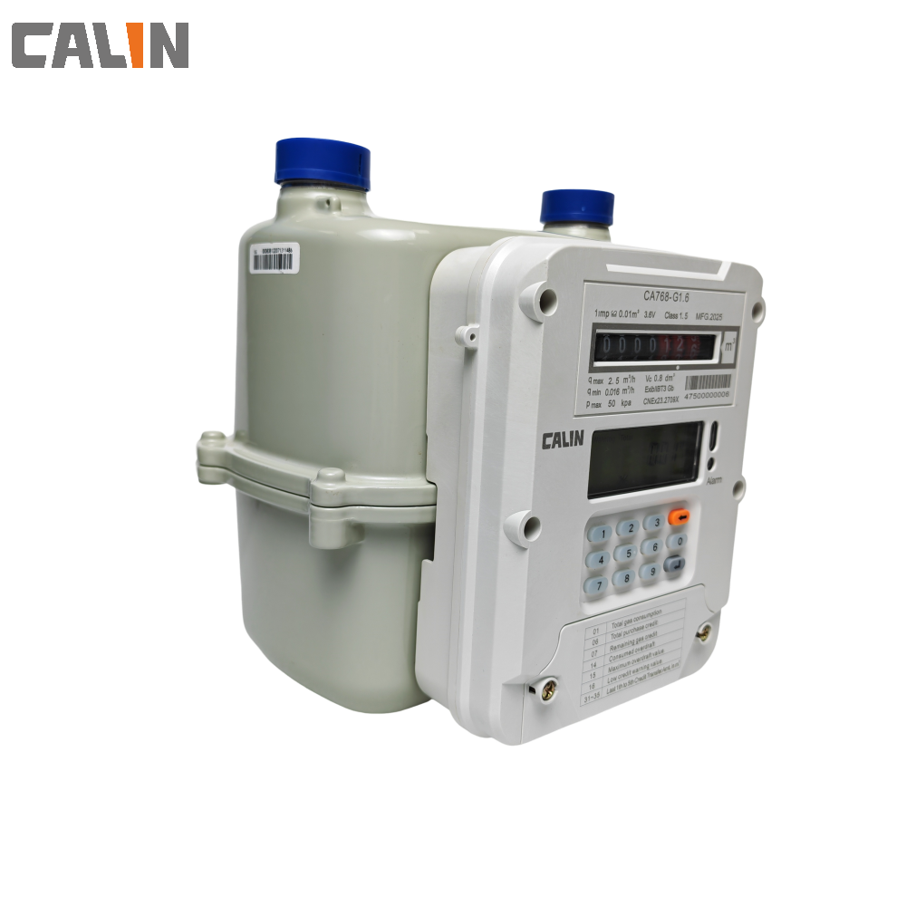 Domestic GPRS Remote Reading Prepaid Gas Meter With AMR / AMI System